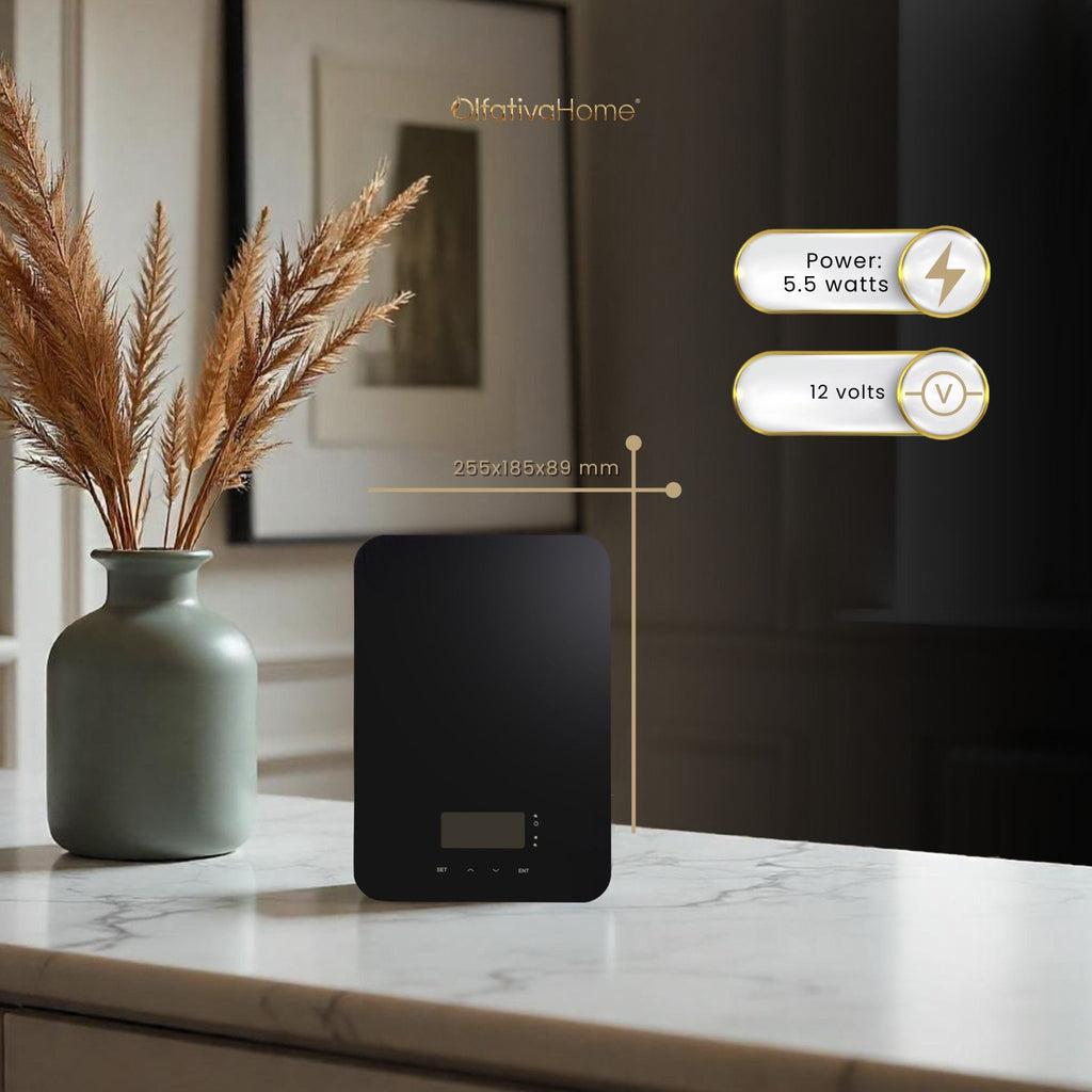 Transform your spaces into memorable experiences - OlfativaHome