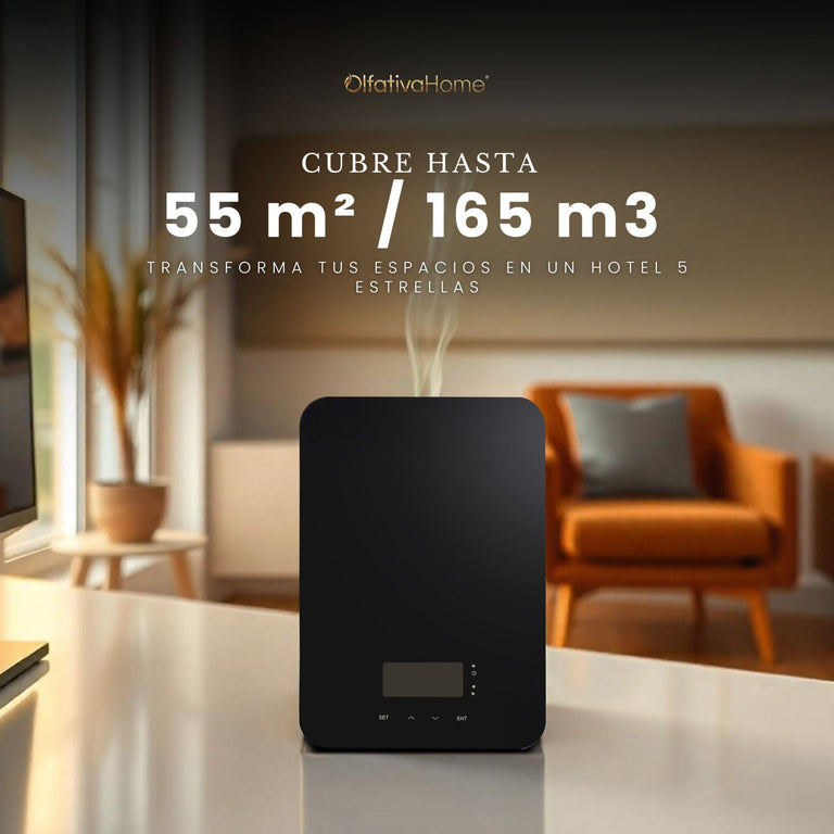 Transform your spaces into memorable experiences - OlfativaHome